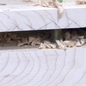 Drawbore Mortise & Tenon: Strengthening Joints - The Wood Whisperer